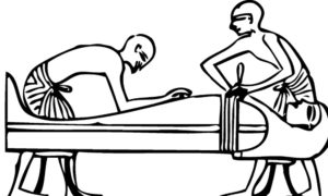 How Teeth Helped Identify a 4000-Year-Old Mummy, Helotes Family ...